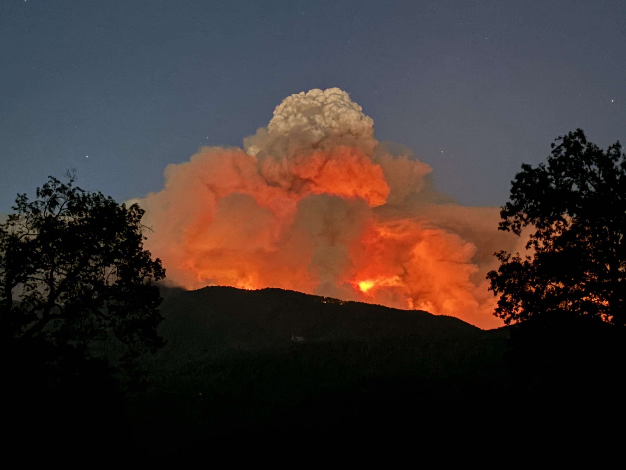 Boise Fire Takes a Walk - The Lookout