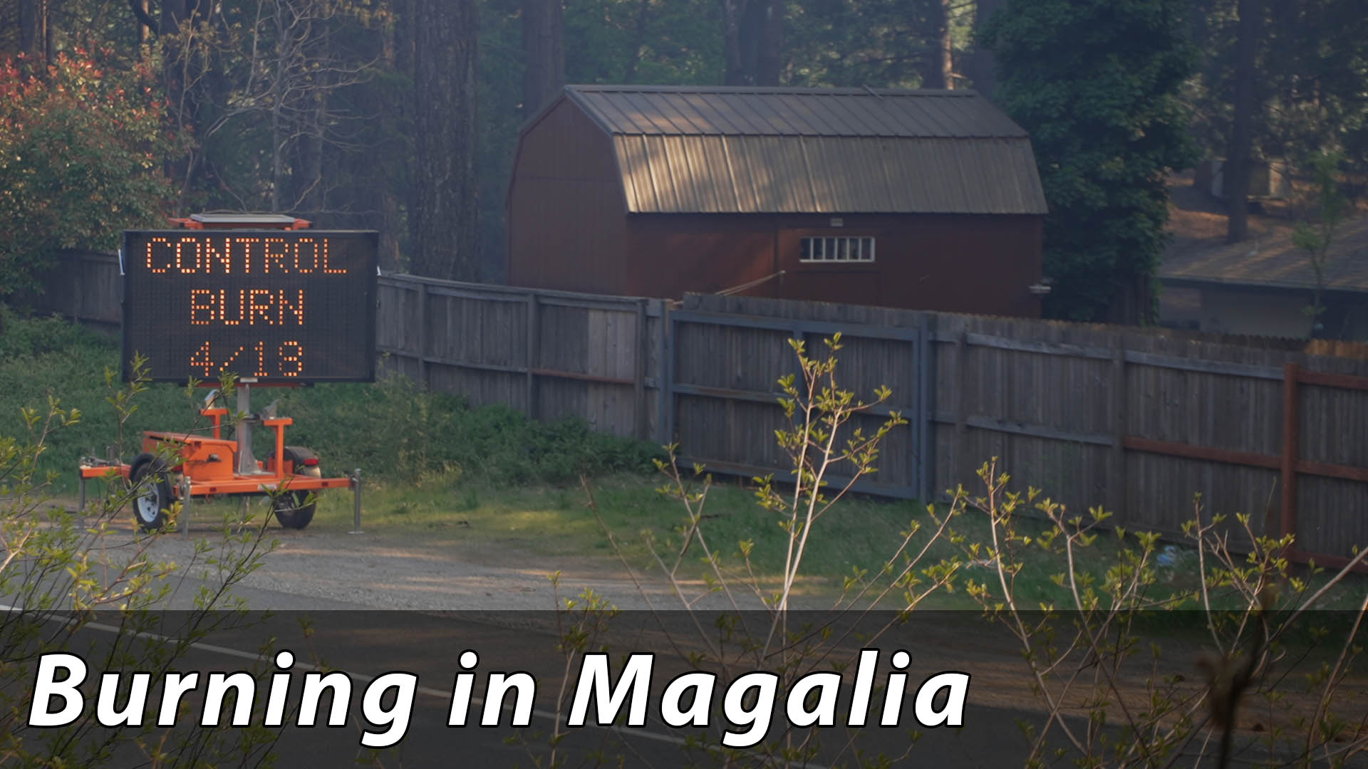 A Major Prescribed Burn in Magalia - The Lookout